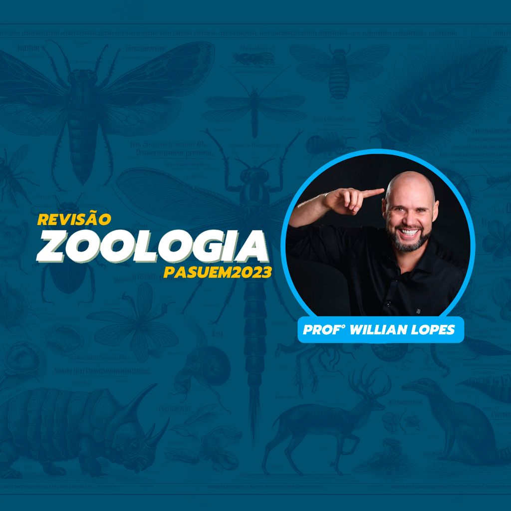 Prof° | Willian Lopes